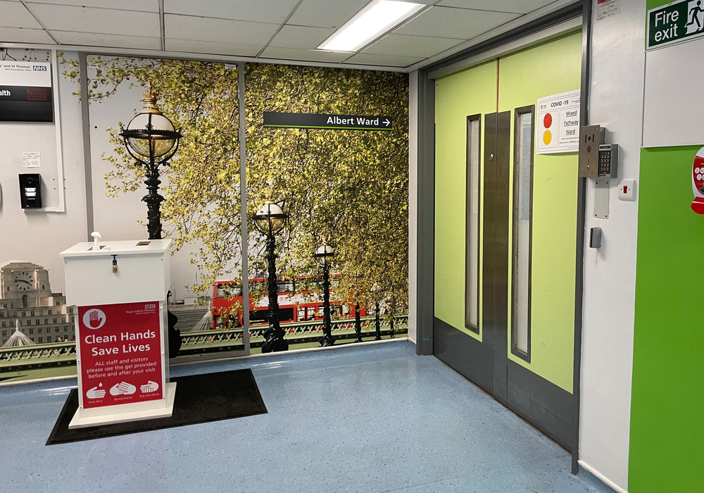 Albert ward | Guy's and St Thomas' NHS Foundation Trust